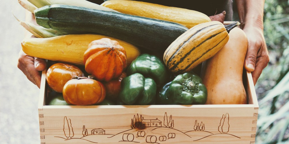 Septembre : top 5 des légumes du mois | Mes recettes faciles