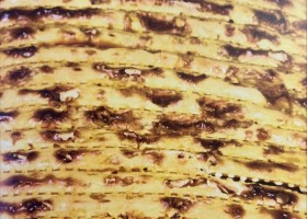 Pessah : nos meilleures recettes pour passer des fêtes en famille | Mes ...