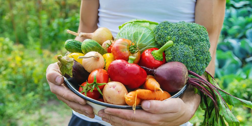 Les fruits et légumes de saison : pourquoi et comment les privilégier ...